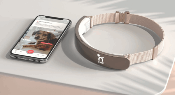 Traini AI Smart Collar: Decode Your Dog’s Emotions | radar
