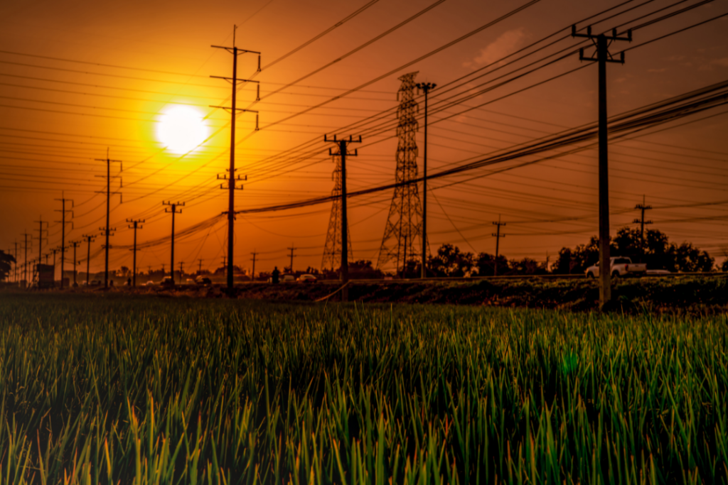 Energy Emergency: What Investors Need to Know | radar