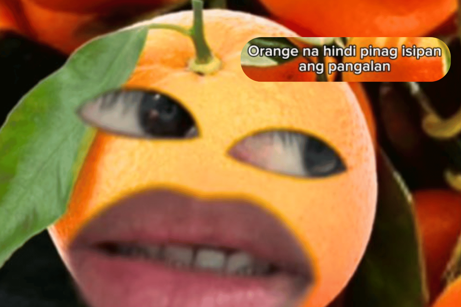 Orange Language and History: The Origin Story | Radar
