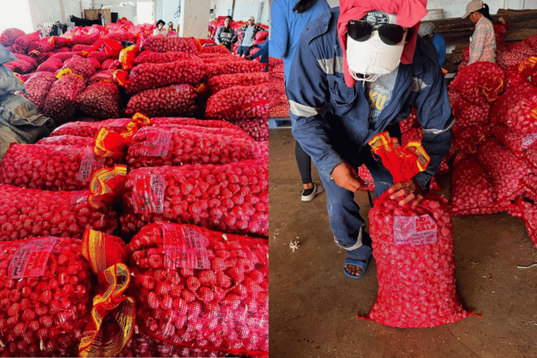 Rural Rising faces backlash over “unsold garlic” claim in Batanes post ...